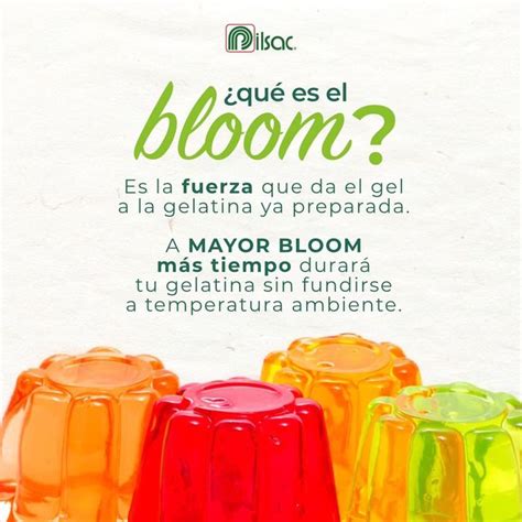 Sabes ¿qué Es El Bloom Gelatinas Postres