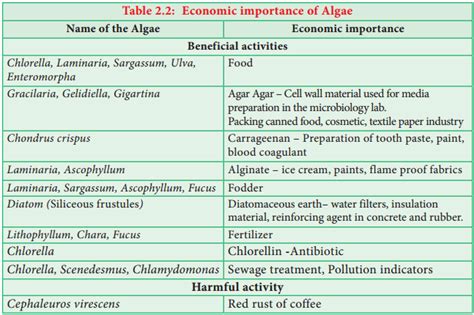 Algae Classification And Its Importance Ncert Mcq