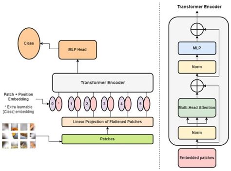 Comparing Vision Transformers And Convolutional Neural Networks For Image Classification A