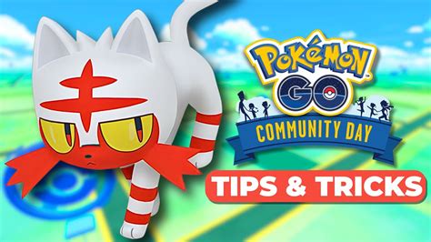 How To Dominate Litten Community Day In Pokémon Go Youtube