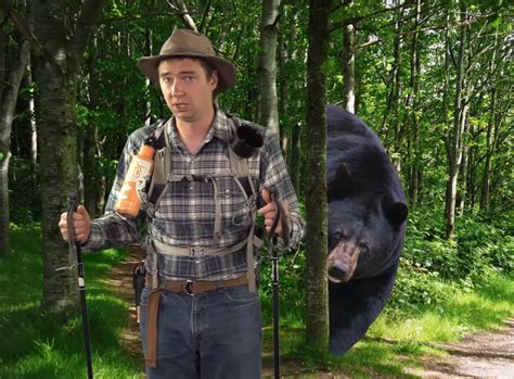 One Of You Is Going To Run Into A Bear This Summer Heres How To Not