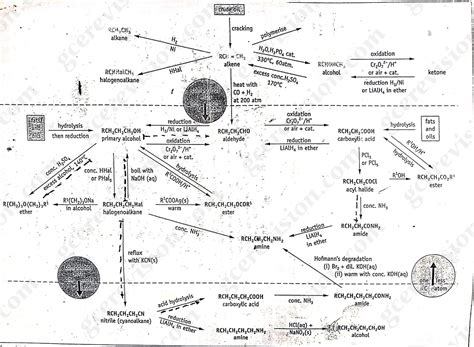 Starting Material For Synthesis Cameroongcerevision Com