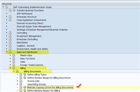 Sd Copy Control Use Part1 Sapcodes