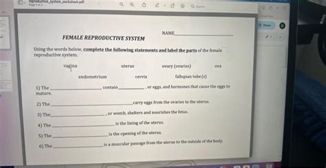 Solved Using The Words Below Complete The Following Sta