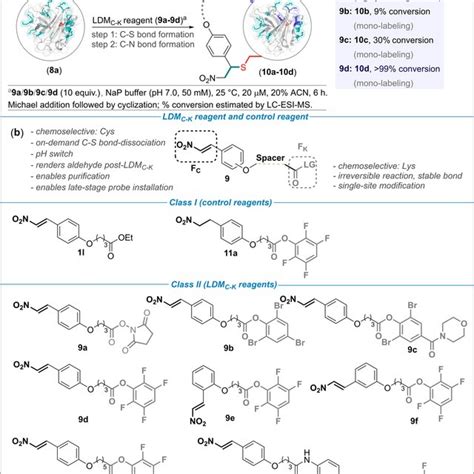 Chemical Technology For Precision Engineering Of Native Proteins A
