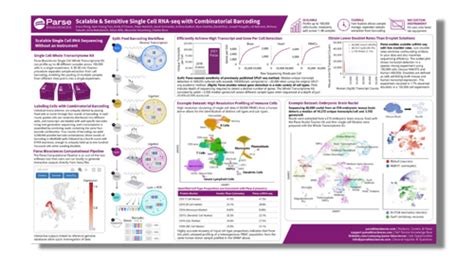 Poster Scalable And Sensitive Single Cell Rna Seq With Combinatorial Barcoding