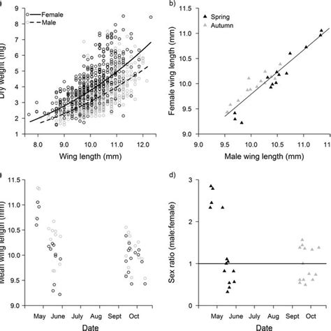 Morphological Measurements And Sex Ratio Comparisons For Angel Lichen