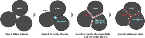 Schematic Diagrams Of Stages In Solid State Self Sintering Stage I Download Scientific