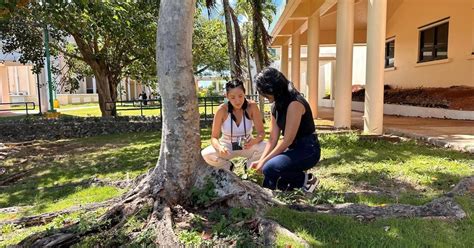 Uog Program Seeks To Bring Graduate Students Back To Guam With 45k Pay