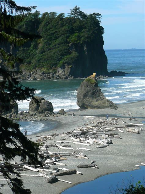 Free Images Beach Landscape Sea Coast Tree Nature Ocean Shore
