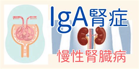 Iga腎症｜慢性腎臓病 青山はり治療院