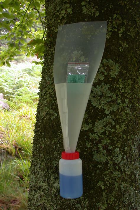 Introducing The Fan Trap An Inexpensive Light And Scalable Insect Trap