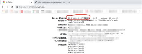 Selenium使用webdriver打开谷歌浏览器出现闪退的解决方法 哔哩哔哩 Selenium使用webdriver打开谷歌浏览器出现闪退的解决方法 哔哩哔哩
