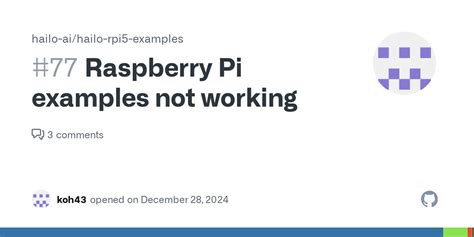Raspberry Pi Examples Not Working · Issue 77 · Hailo Ai Hailo Rpi5