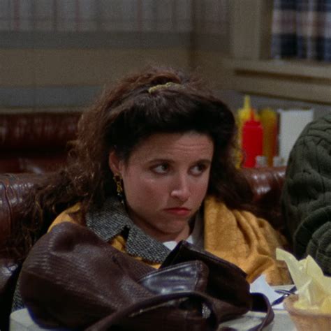 Elaine Benes Icon