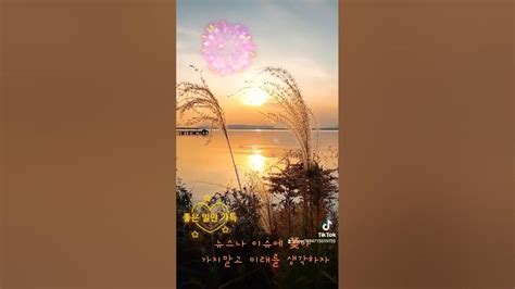 밤 노을과 갈대 사이 풍경 노을 갈대 메기의 추억 Shorts Youtube