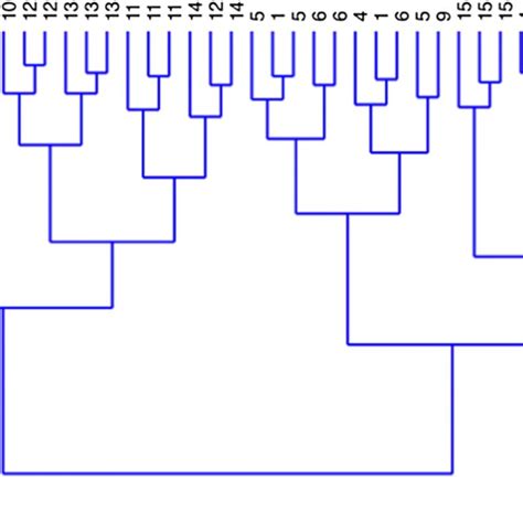 Wards Dendrogram Of Female Date Palm Cultivars Based On Morphological
