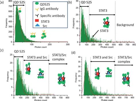 Rapid Detection Of Two Protein Interaction With A Single Fluorophore By Using A Microfluidic
