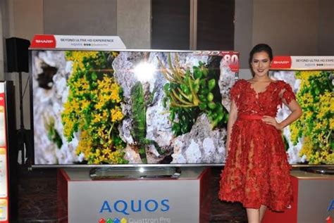 Targetkan Kuasai Pasar TV LED Hingga 25 Persen Ini Strategi Sharp Indonesia