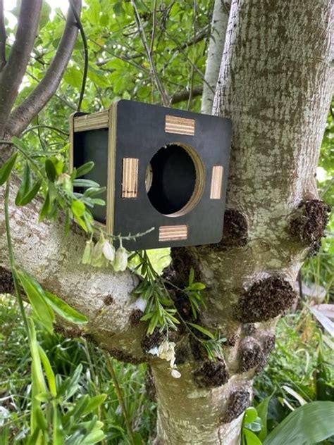 Nesting Boxes Repurposing For Resilience Eurobodalla