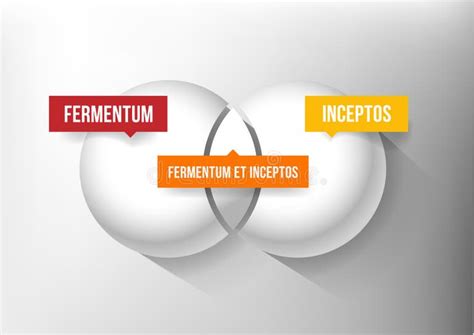 Intersecting Circles Infographic Stock Illustrations 76 Intersecting