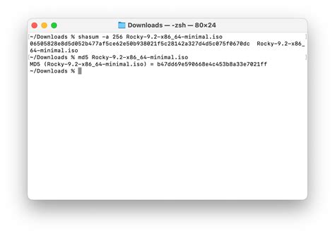 Comprobar Hash Sha 256 O Md5 En Windows Macos Y Linux Analytics Lane