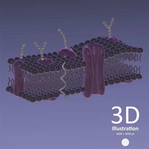 Premium Psd 3d Icon Cytoplasmic Membrane Illustration