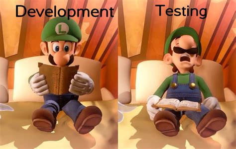 brain during r programmerhumor