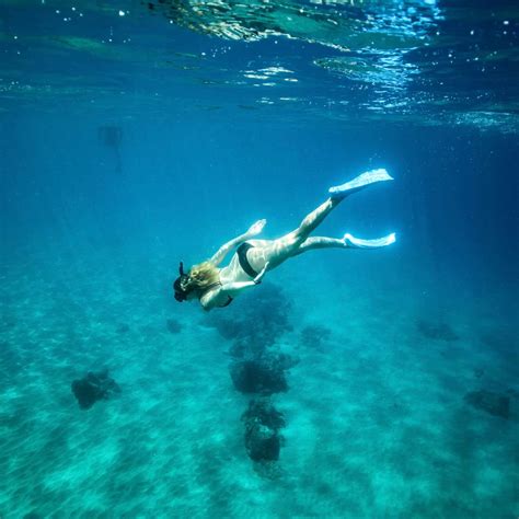 Jet Ski And Snorkel Experience At Chileno Bay Los Cabos Wild Canyon