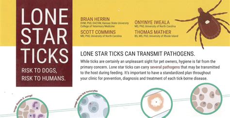 Tick Tips Alpha Gal Information Providers