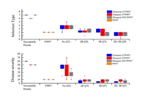 Effects Of Single Qtl And Their Combination On Stripe Rust Scores Download Scientific Diagram