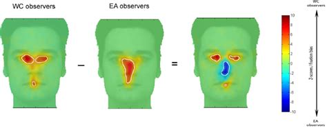 Fixation Maps Based On The Fixation Durations For Each Culture Of The