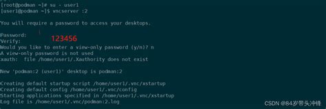 windows系统内远程控制软件vnc安装使用教程 win vnc csdn博客