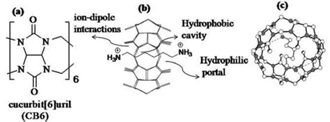 Figure 1 From Supramolecular Assemblies Constructed By