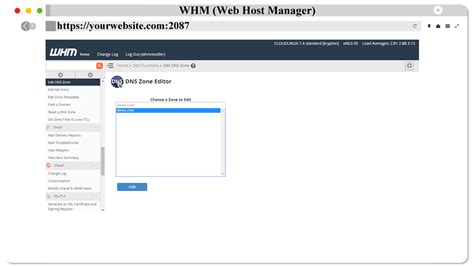 What Is DNS How To Add Edit And Delete DNS Reseller Part 8 TOSHOST LTD