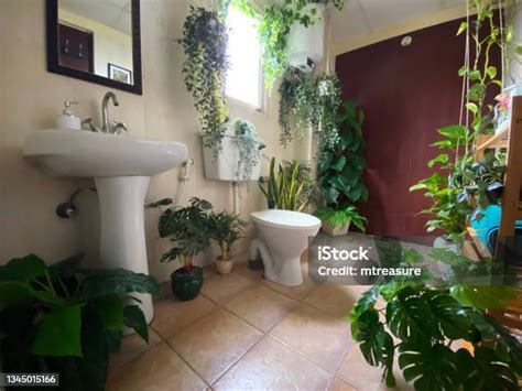 흰색 화장실 스위트 와 세면대 타일 바닥 나무 선반 단위 벽 거울 화분에 열대 식물 수건과 세면도구가있는 열대 우림 정글 테마 욕실 젖은 방의 이미지 0명에 대한 스톡 사진