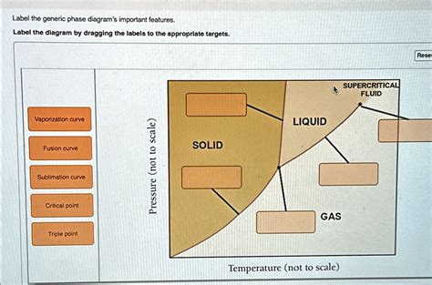 Solved Label The Generic Phase Diagrams Important Features Label The