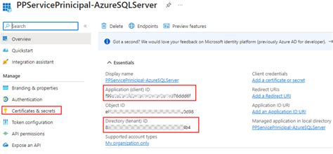 Sql Service Principal Authentication In Powerapps Mohamed Ashiq Faleel