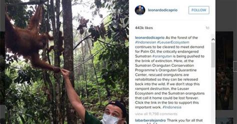 인도네시아 관광비자로 입국한 디캐프리오 환경운동하면 추방