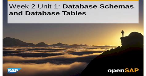Pdf Opensap Hana1 Week 02 Database Tasks Loading Modeling Dokumentips