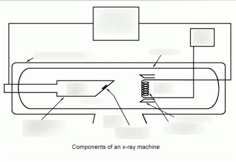 Rad Exam 1 Diagram Quizlet