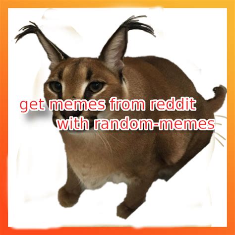 Github Halitseverrandom Memes Random Reddit And Custom Api Meme