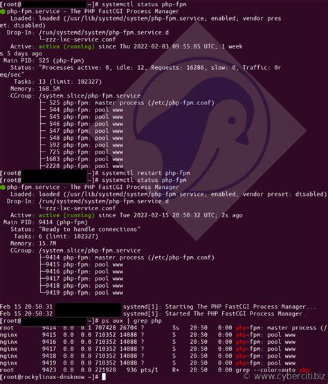 Linux Unix Restart PHP Service Command
