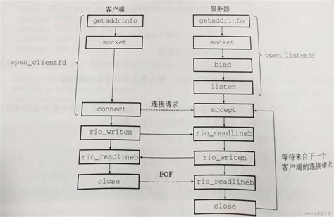 Linux 网络编程 Csdn博客