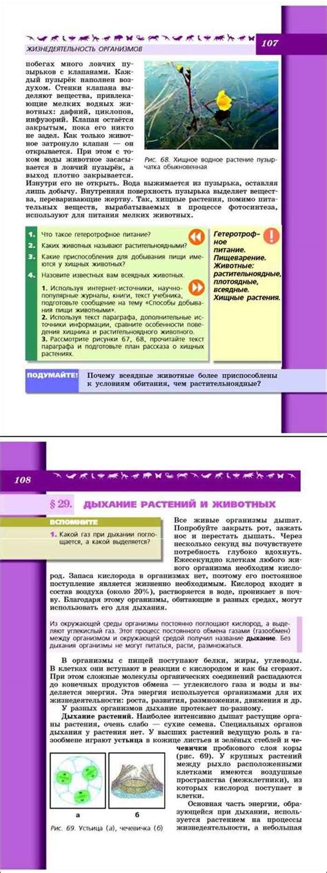 Читать онлайн учебник по биологии за 5-6 класс Пасечник Суматохин