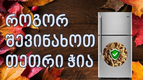 როგორ შევინახოთ თეთრი ჭია Youtube