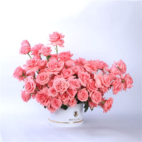 Pink Roses Qatar Pink Color Flowers Spring Sentiment Btf