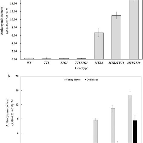 The Anthocyanin Contents Of Leaves By A Uv Spectrophotometer A The