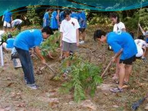 Preventing Soil Erosion PPTX