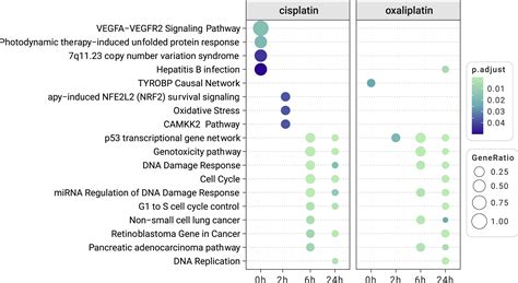 Clusterprofiler 40 A Universal Enrichment Tool For Interpreting Omics